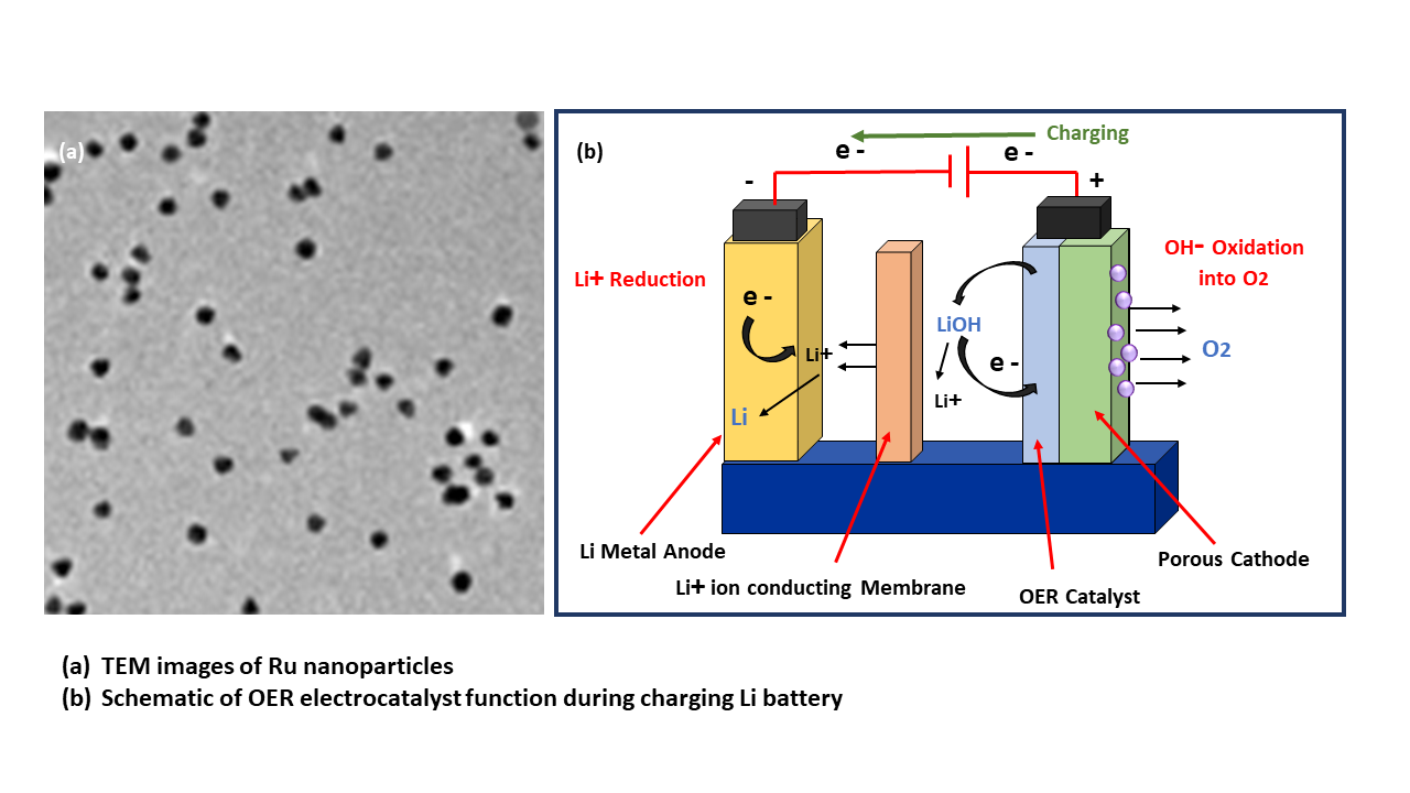 Nanoparticle Catalyst | Heterogenous Electrocatalysts