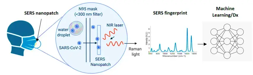 Flexible SERS Sensors for SARS-CoV-2 Detection on Facemasks - NikaLyte